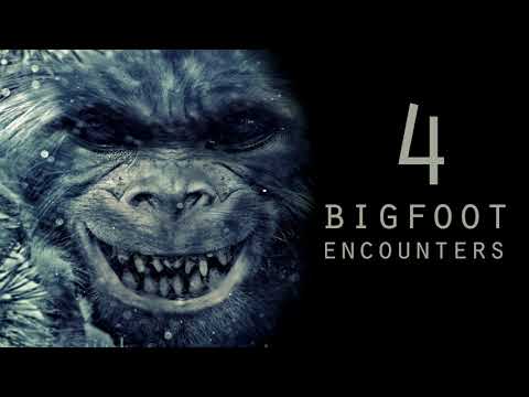4 SPOOKY BIGFOOT ENCOUNTERS What Lurks Beneath