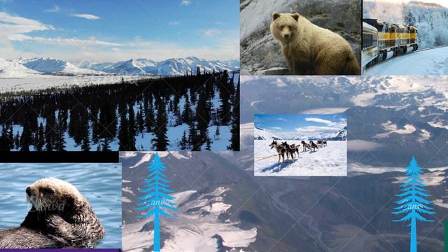 The Alaskan Climate