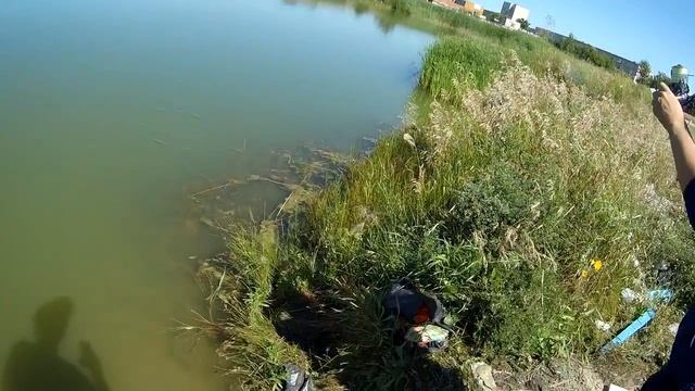 Яровое рыбалка Алтай.mp4