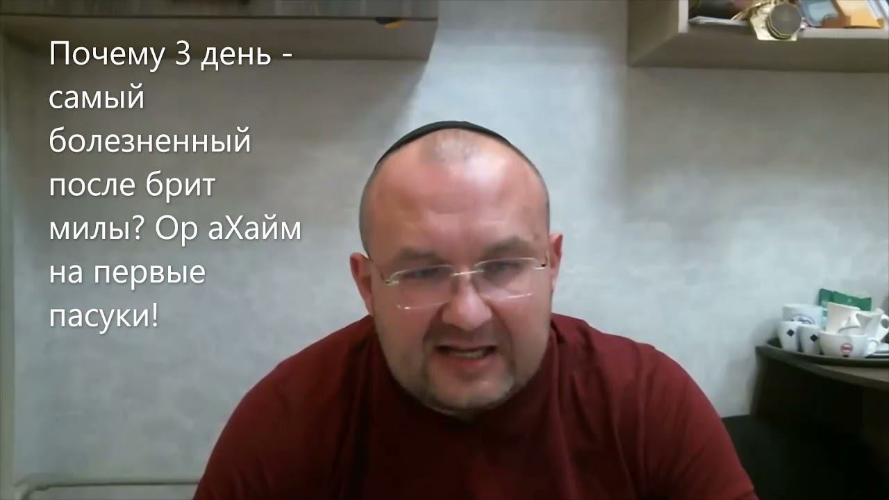 Почему 3 день - самый болезненный после брит милы? Ор аХайм на первые пасуки. Недельная глава Ваера