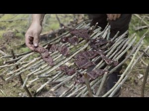 3 дня одиночного путешествия по бушкрафту - сушка мяса, пляж и лес, спальный мешок, сон под звездами