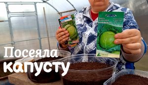 22 апреля 2022г.  Огородние дела. Сею капусту.
