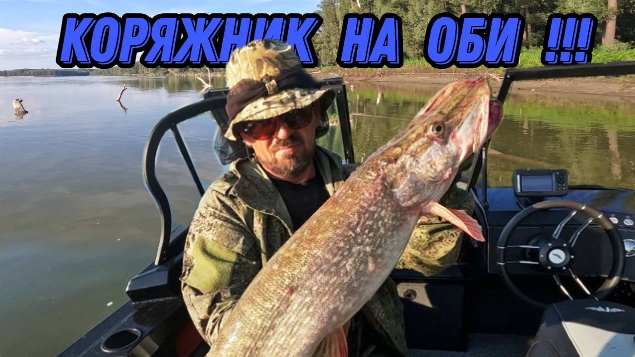 ВОТ И КОРЯЖНИК ЗАРАБОТАЛ !!! Рыбалка на Оби 12 августа 2024г.