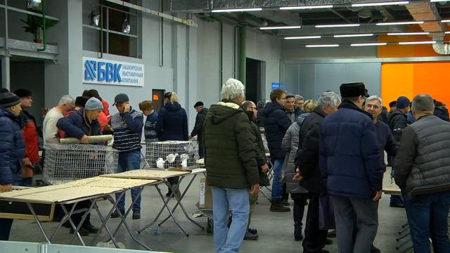 Голуби. Ярмарка. ч.4.Уфа. 08.12.2018
