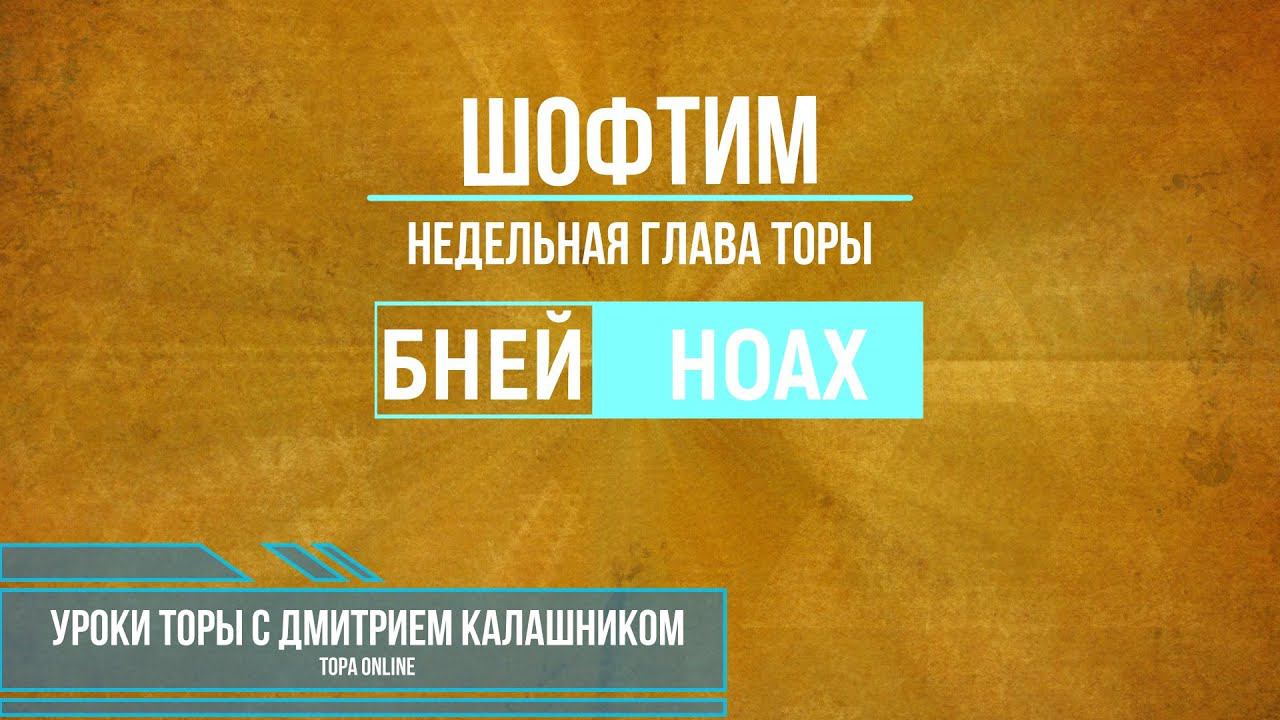 Недельная глава ТОРЫ "ШОФТИМ", книга "ДВАРИМ" (Второзаконие) 5780