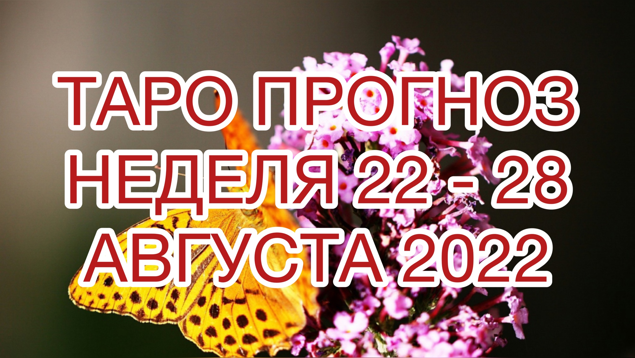 ОВЕН ♈️ ТАРО ПРОГНОЗ НА НЕДЕЛЮ С 22 ПО 28 АВГУСТА 2022.mp4