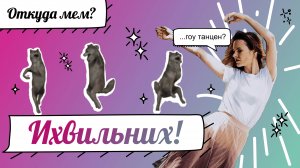 Откуда мем: танцующий волк "Ихвильних"