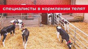 Автоматическая станция для выпойки козлят/ягнят URBAN Alma Pro L