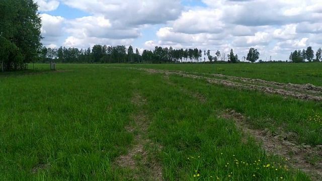 Летний металлокоп 2022. В поиске мест для копа.