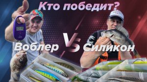 Попали на раздачу окуня. Река Сухона. Устроили мини баттл приманок.