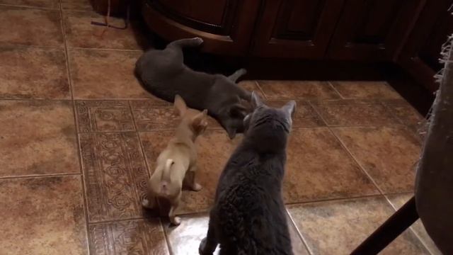 Трое на кухне не считая меня.