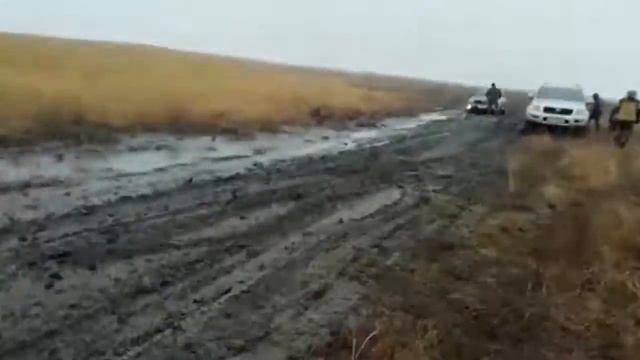 22-02-20 Ростовские обл.  испытания по боровой дичи фазан Абанеев Е.А..mp4