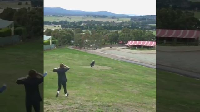 VID_20221223_222455_952.mp4