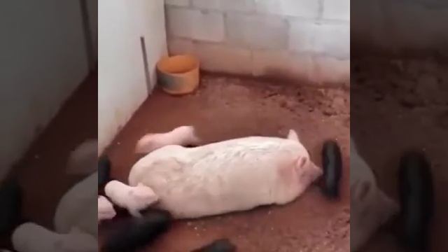 Обед задерживается