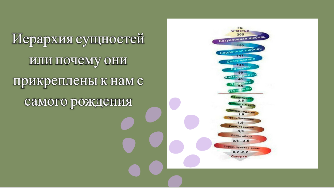 Сущности