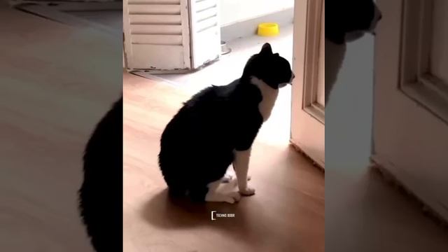 Тест 3.mp4