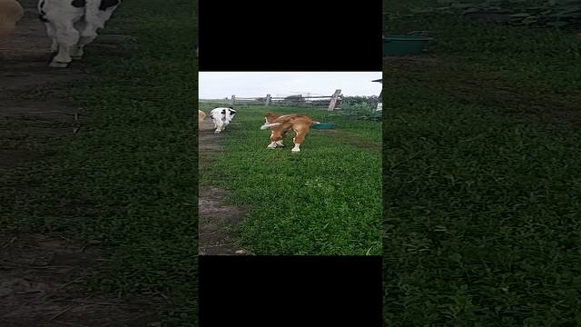 Побег троих