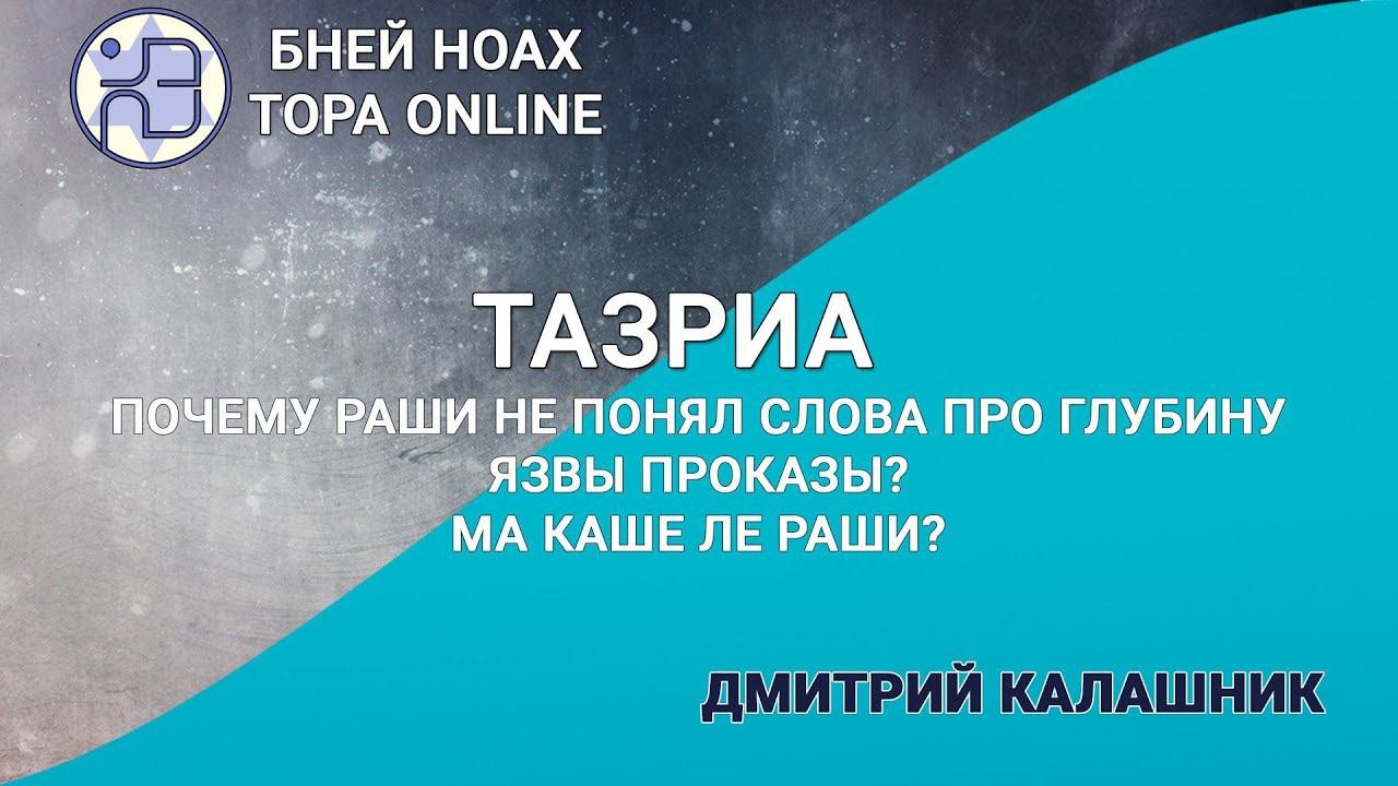 Почему Раши не понял слова про глубину язвы проказы? Ма каше ле Раши? Недельная глава Тазриа