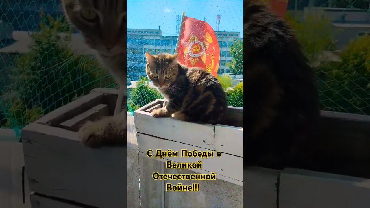 С Днём Победы Товарищи!!!