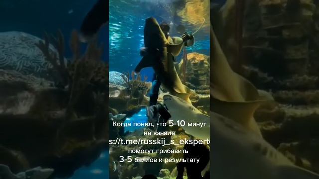 Забери полезные материалы к ОГЭ и ЕГЭ
Помощь к ОГЭ и ЕГЭ в моем ТГ-канале https://t.me/russkij_s_eks