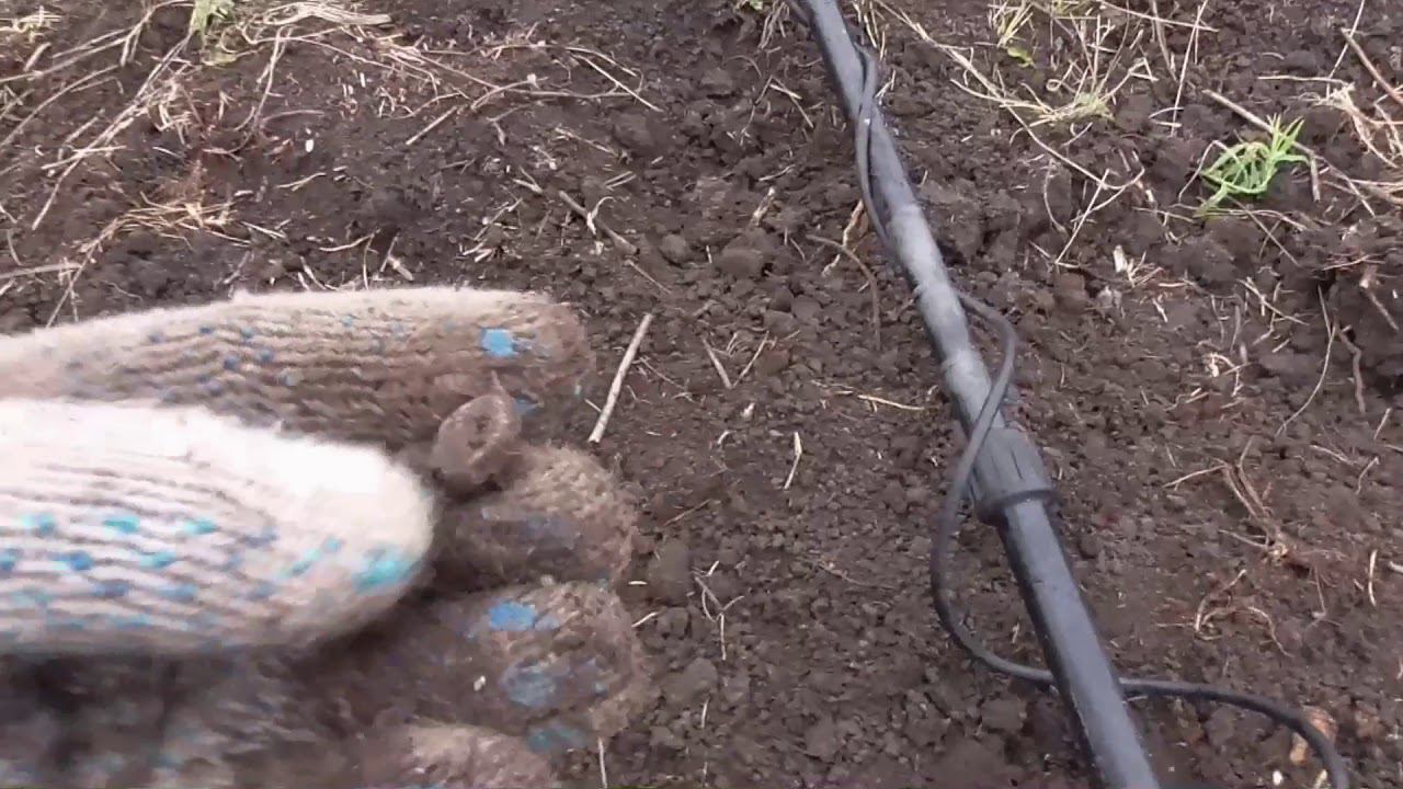 Поиск монет в начале октября 04.10. 2018