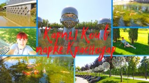 Карпы Кои в парке Краснодар! Достопримечательности парка Краснодар!Что интересного в парке Краснодар