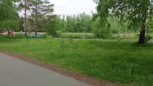 Кроссовая подготовка в парке при +26 градусах