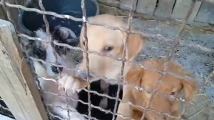 Самые маленькие жители КП очень радуются любому вниманию к ним