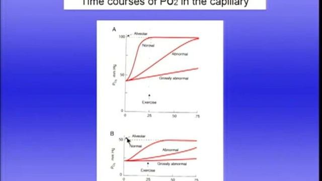 5_Diffusion