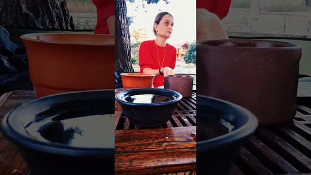 Задача Души. #велезаръ #shorts #мыпервоисток #первоистоктлт