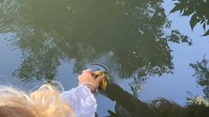 Divine beaty натуральная косметика