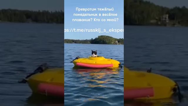 Приходи на зарядку для ума!
Помощь к ОГЭ и ЕГЭ в моем ТГ-канале https://t.me/russkij_s_ekspertom