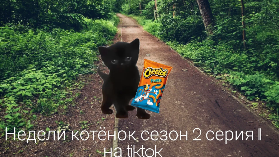 Недели котёнок сезон 2 серия 11 на tiktok
