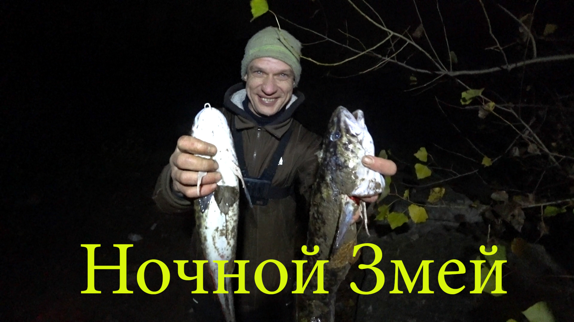 ОБЛОВИЛ ВСЕХ НА БЕРЕГУ! МОЙ ТРОФЕЙНЫЙ НАЛИМ