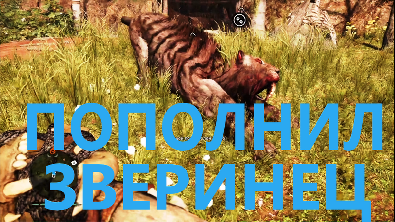 FarCry Primal #27   Пополнил зверинец
