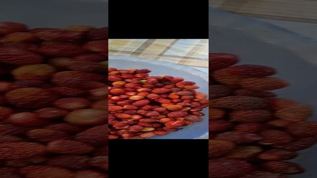 клубника2