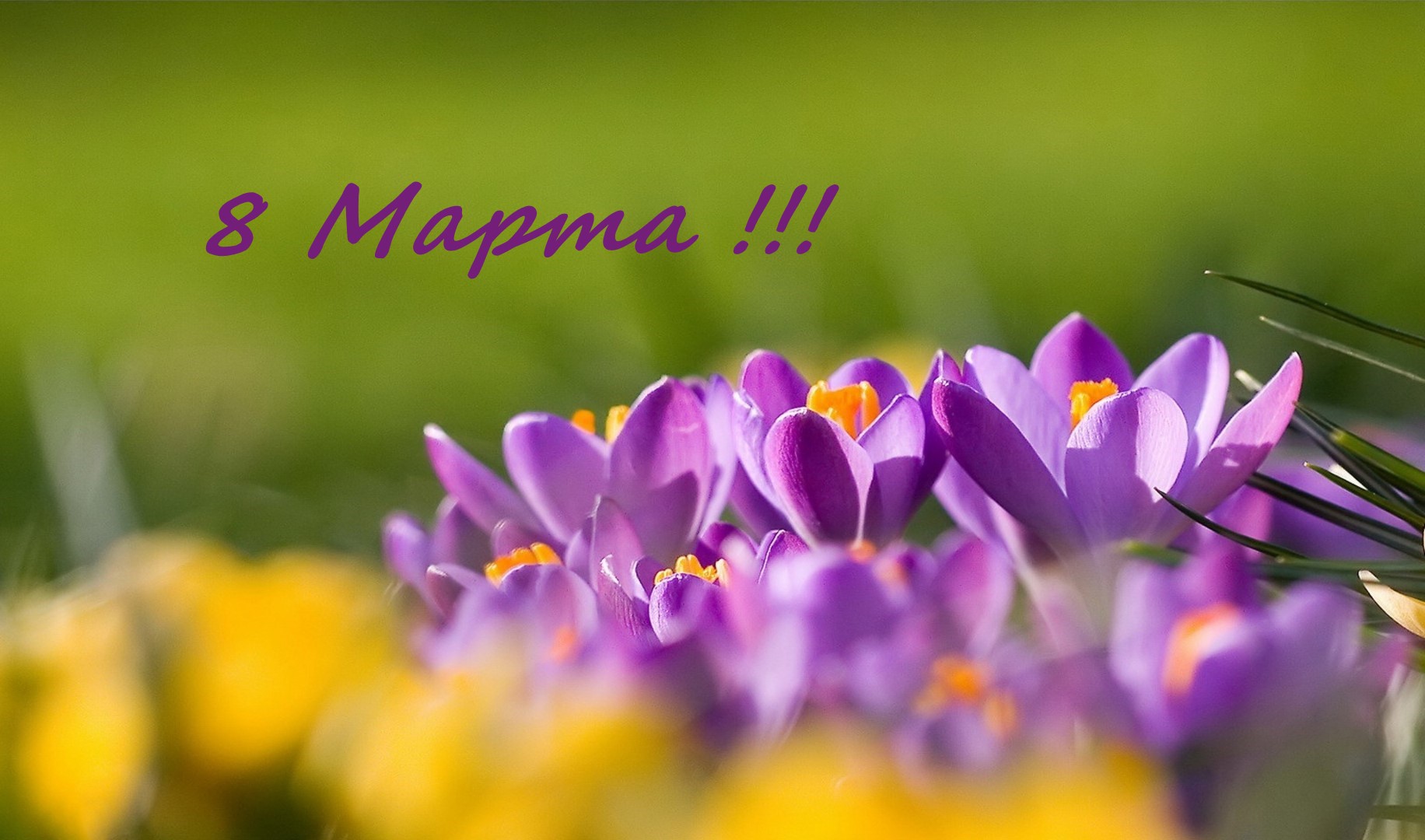 8 Марта 2024