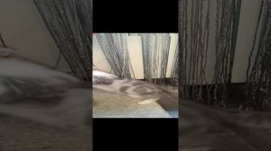 борьба кота Стёпана с бедной мышкой ?