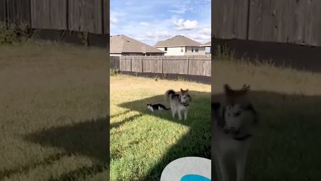 ??