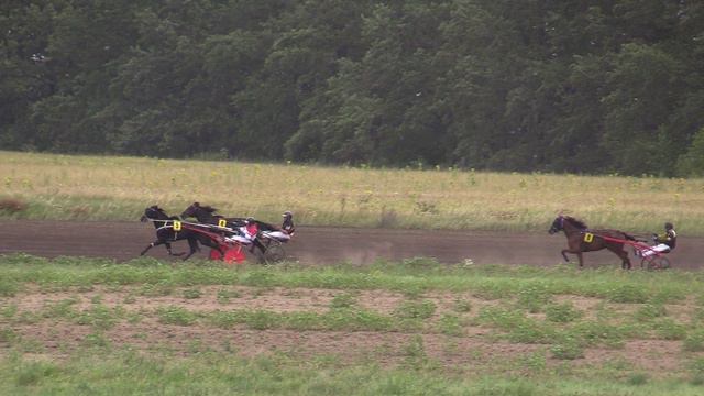 07 Вступительный открытый Жеребцы и кобылы рысистых пород 2022 гр Воронежский ипподром