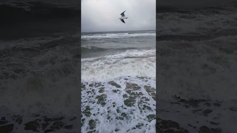 БАЛТИЙСКОЕ МОРЕ В ДЕКАБРЕ 7