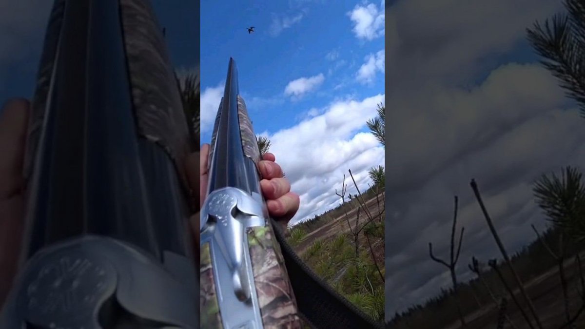 С Охоты На рыбалку на RUTUBE: 156 видео – смотреть онлайн и бесплатно ...