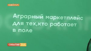 Поле РФ.mp4