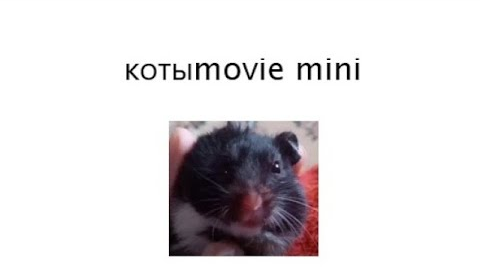 Котыmovie mini