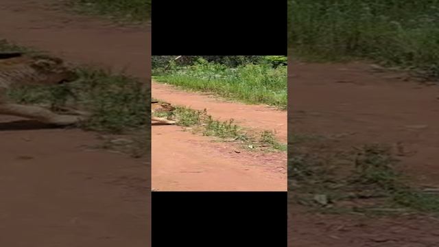 VID-20230103-WA0002.mp4