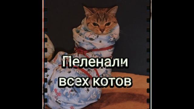 Детство