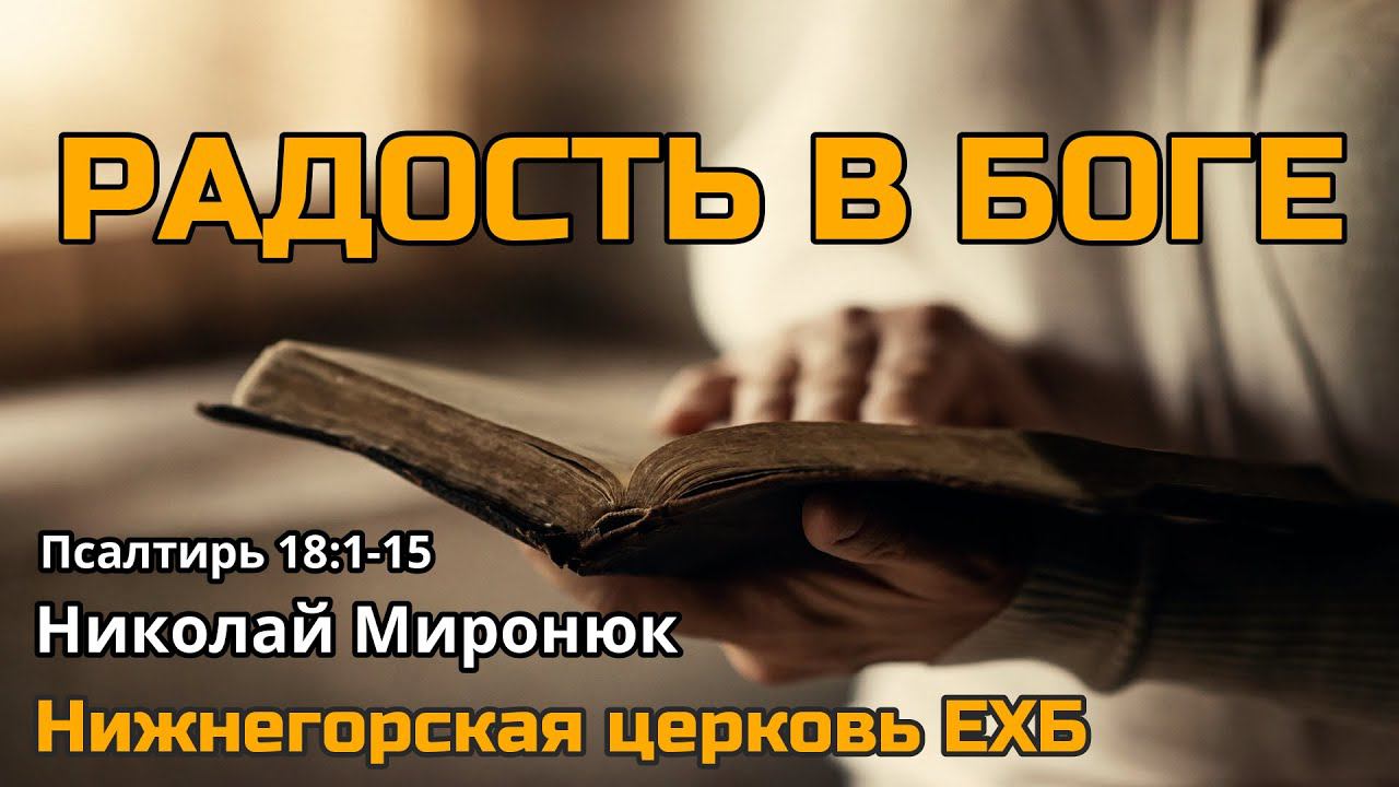 Радость в Боге (Николай Миронюк)