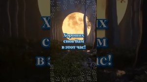 Доброй ночи!