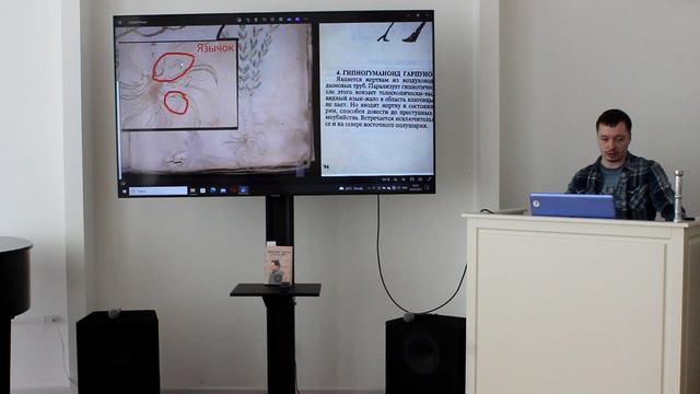 Презентация книги "Манускрипт Войнича перевод Павла Коннова"