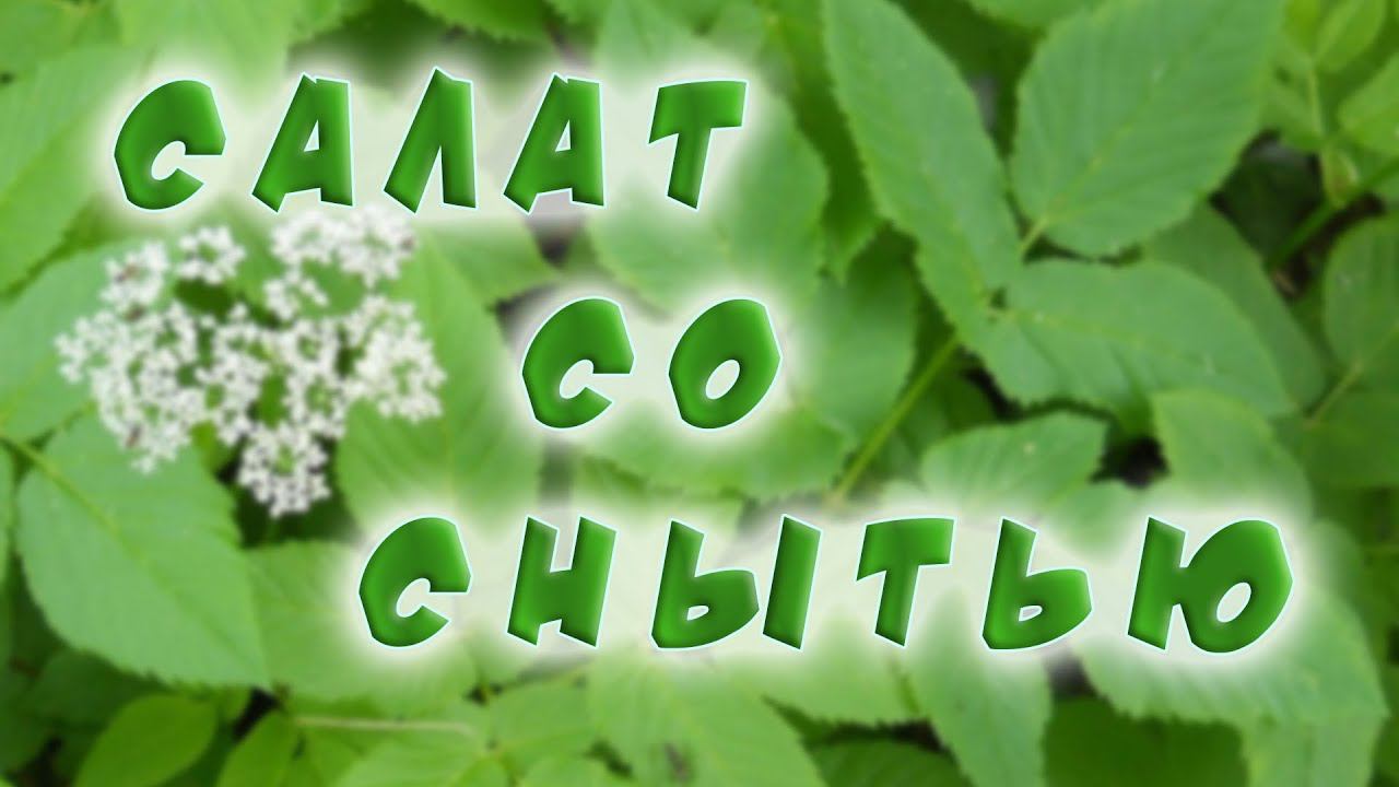 Салат со снытью